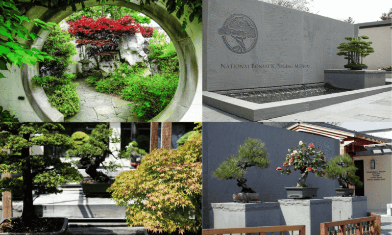Top 5 Bonsai Museums to Visit Around the World - Bonsai Craft