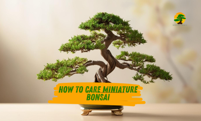 How to Care Miniature Bonsai - Bonsai Craft