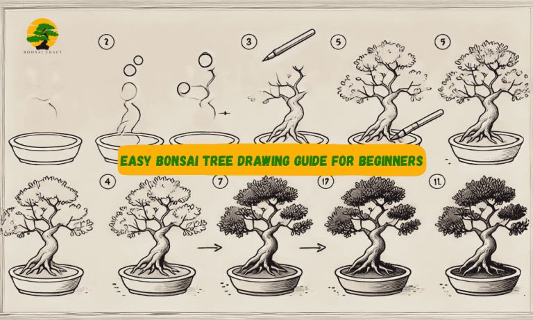 Easy Bonsai Tree Drawing Guide for Beginners - Bonsai Craft